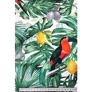 Tropical Toucan Birds,Lemons Floral Print Upholstery Fabric(200x140cm)-HDTF-0642-200