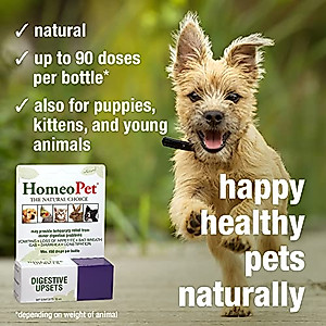 HomeoPet Digestive Upsets Natural Pet Digestive Support, Supports Temporary Relief from Digestive Problems, 15 Milliliters