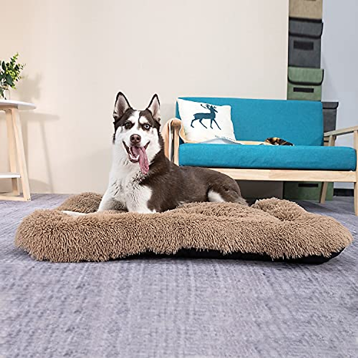 Poohoo Soft Plush Dog Bed, 41"L x 28"W x 3.9"Th, X-Large, Camel
