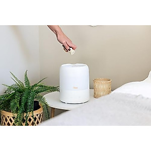 Crane Ultra-Quiet 3-in-1 Humidifier, Essential Oil Aroma Diffuser & Soothing Sleep Light - Compact 0.5 Gallon Capacity with Adjustable Night Light & Fragrance Tray - Ideal for Bedroom, Office, Nursery