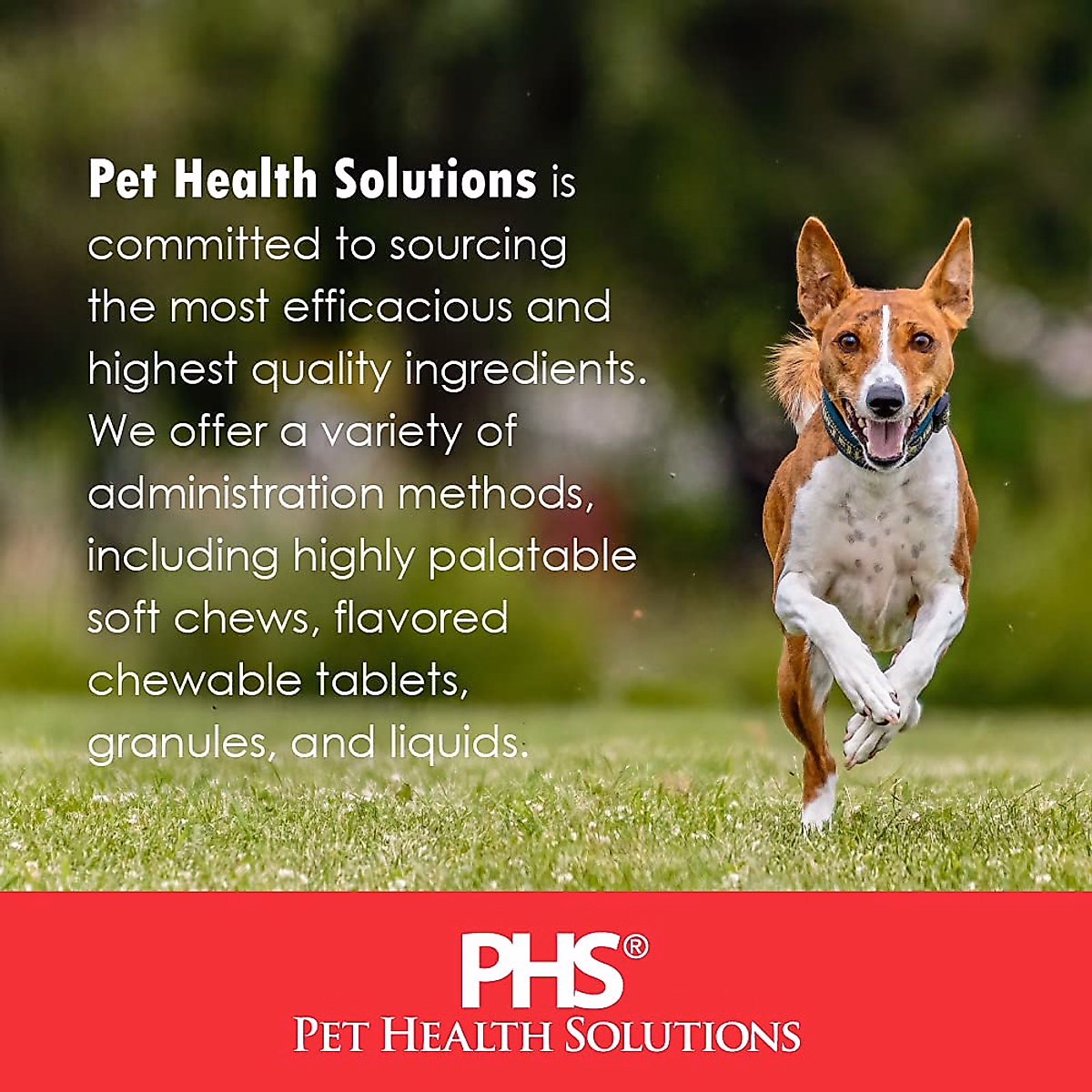 Mela-Vet Melatonin Calming Soft Chews for Dogs, Vet-Formulated to Provide Relaxation & Anxiety Relief, Helps Reduce Stress & Tension-Supports Healthier Skin & Coat.120 Tasty Soft Chews.