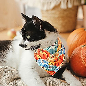 Fall Dog Cat Bandana, Thanksgiving Harvest Pumpkin and Maple Pattern for Large Medium Small Puppies Pets