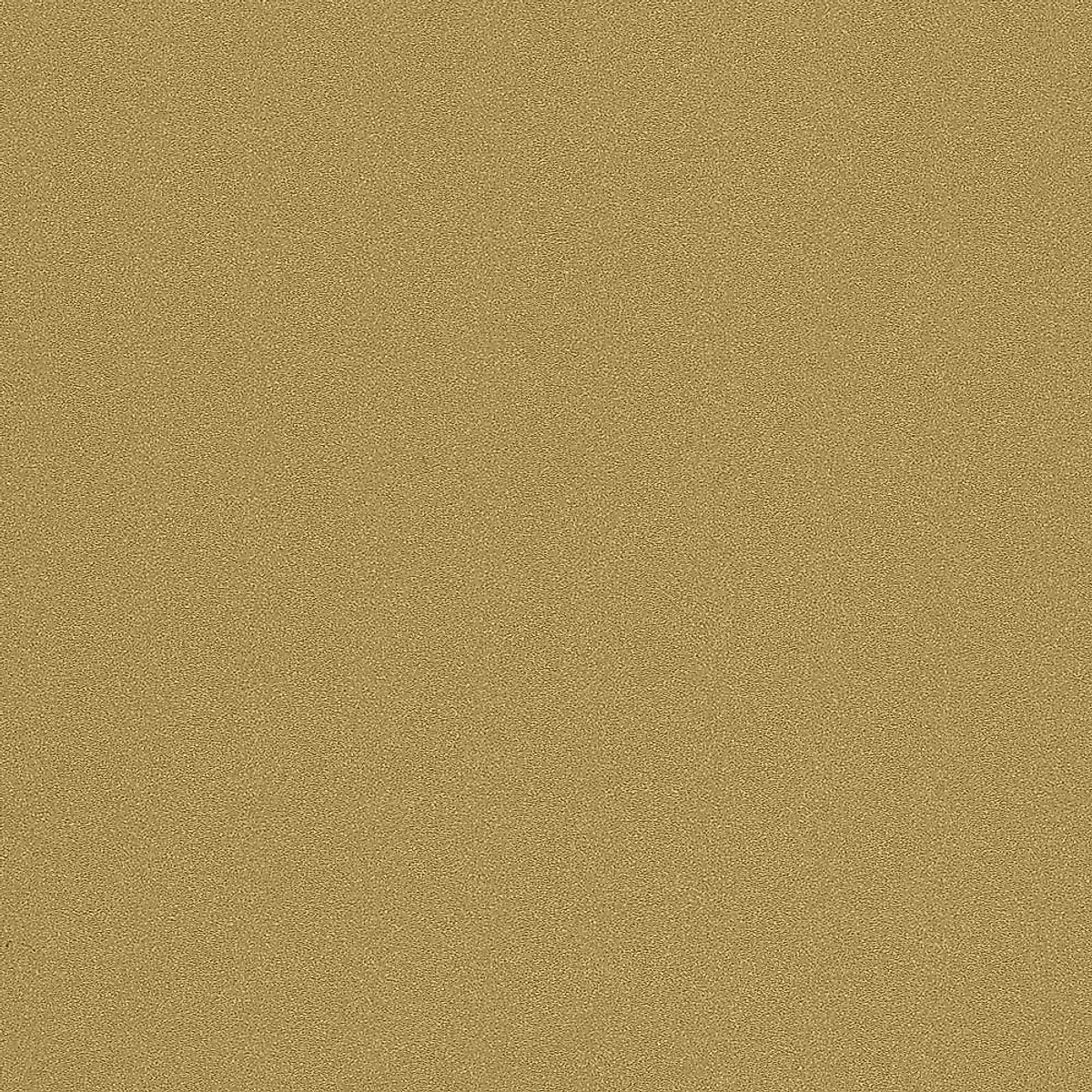 12 oz Krylon K02770007 Gold Fusion All-In-One Paint & Primer Spray Paint, Metallic