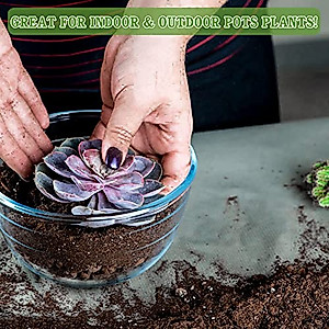 Halatool 6 QT Organic Top Soil Garden Succulent Soil for Indoor & Outdoor Plants Bonsai Cactus Soil Potting Mix for Houseplants Flowers Vegetables & Herbs