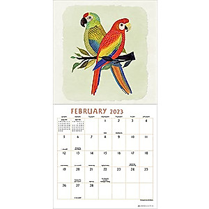 Feathered Friends 2023 Wall Calendar: Watercolor Bird Illustrations by Geninne Zlatkis | 12" x 24" Open | Amber Lotus Publishing