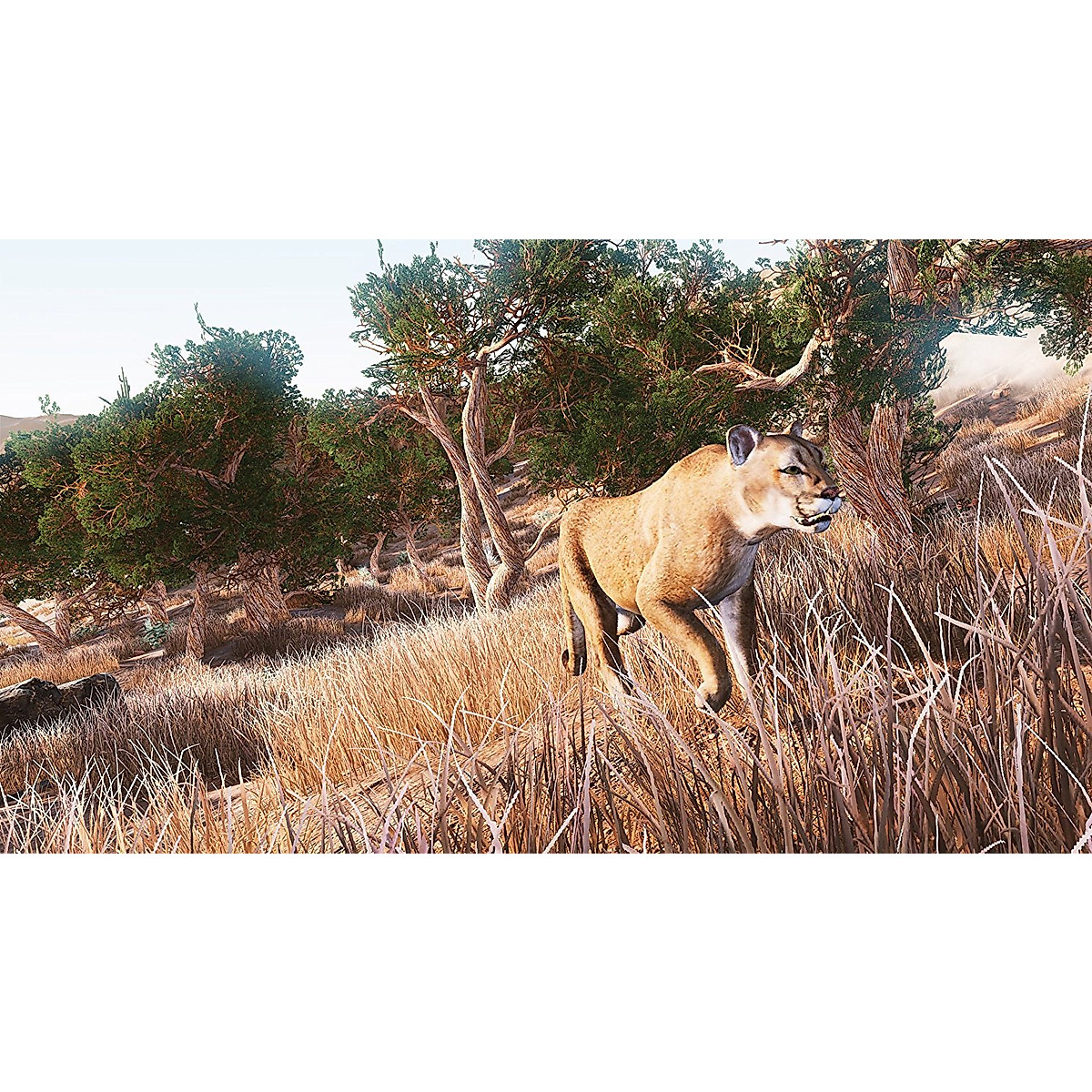 Hunting Simulator (XB1)