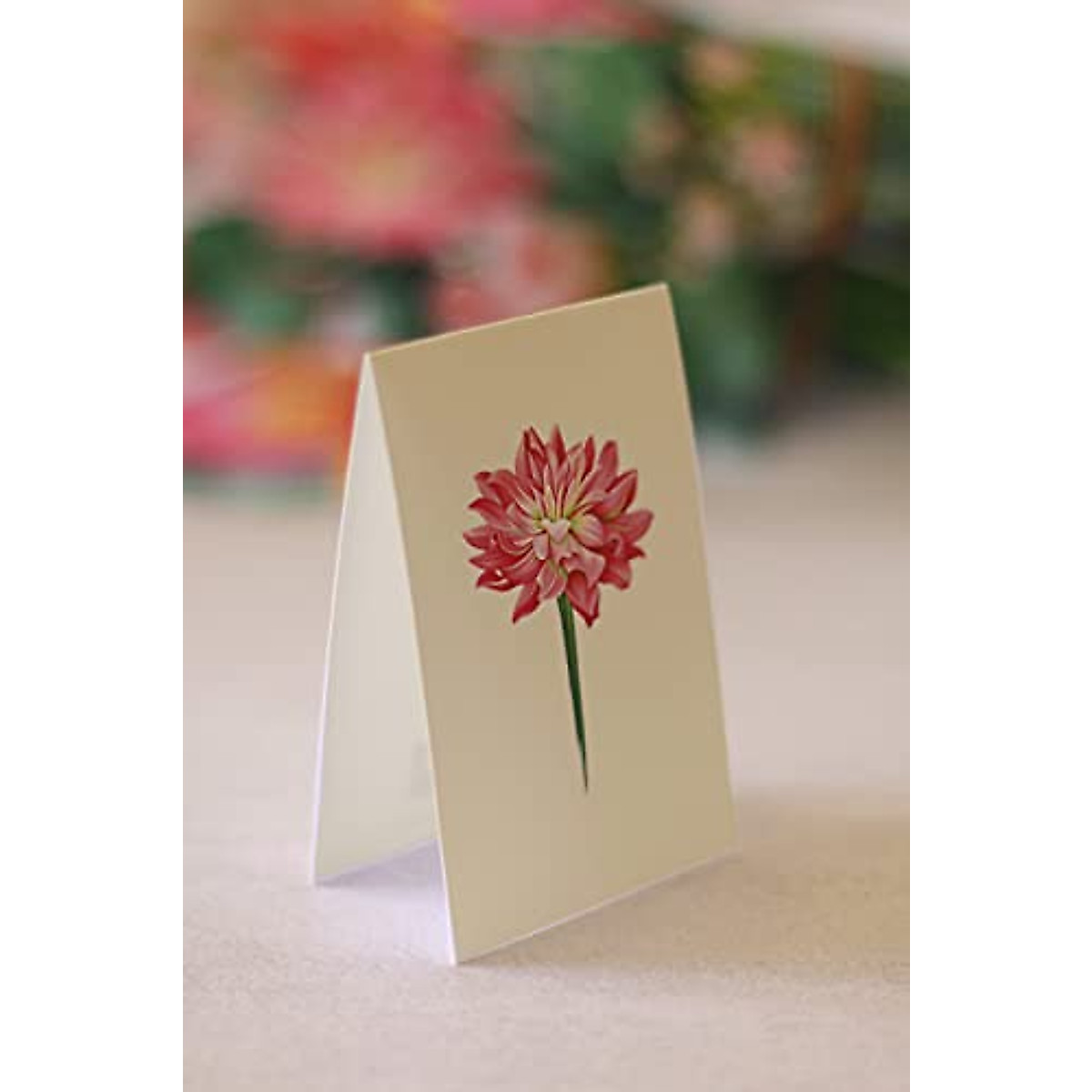 Freshcut Paper Pop Up Cards, Dear Dahlia, 12 inch Life Sized Forever Flower Bouquet 3D Popup Greeting Cards with Note Card and Envelope - Dahlia & Cala Lily Flowers