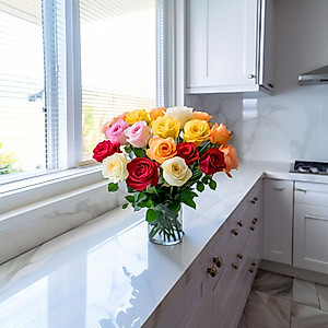 Fresh Roses- 100 Assorted Color Flowers- Lovely Gift (OM)