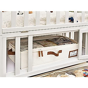 StorageWorks Underbed Storage Box and 32L Storage Bins with Lids