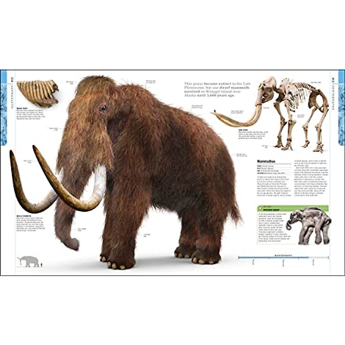 Dinosaurs and Prehistoric Life: The Definitive Visual Guide to Prehistoric Animals (DK Definitive Visual Encyclopedias)