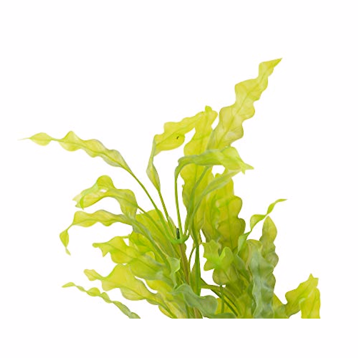 CNZ Aquarium Decor Fish Tank Decoration Ornament Artificial Plastic Plant 17.5-inch Java Fern, 2-Pack