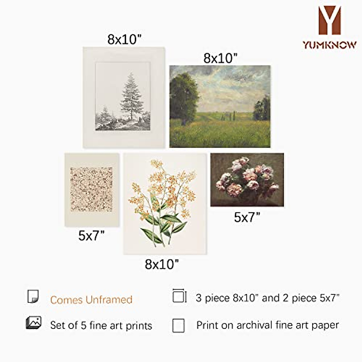 Vintage Botanical Wall Art Decor - Farmhouse Wall Decor for Bedroom Living Room Bathroom - Flower Poster Floral Pictures Plant Wall Prints for Kitchen Decor - Rustic French Country Room Decor Set of 5