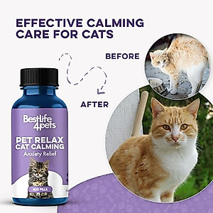 Pet Relax Cat Calming Anxiety Relief - Natural Calming Care for Cats, Cat Stress and Anxiety Relief, Soothes Separation Anxiety, Homeopathic Feline Aid for Travel - 400 Odorless, Tasteless Pills
