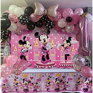 ANDXIN Pink Cartoon Mouse Backdrop, Tablecloth, Birthday Party Decorations, Vinyl, Environmentally Friendly Materials, 6x4FT, 70x42in