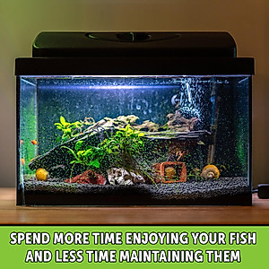 Python No Spill Clean and Fill Aquarium Maintenance System, Complete Ready-to-Use Gravel Cleaner and Water Changer for Fish Tanks, 50 Foot