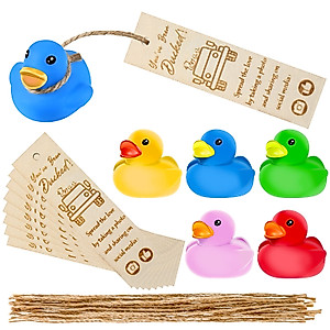 60 Pcs You've Been Shunned Cards with Rubber Ducks and Strings Small Rubber Duckies with Duck Card Tags Mini Rubber Ducks Bulk for Car Street Toy Party Game Decor Assorted Colors (Wood, Cute Style)