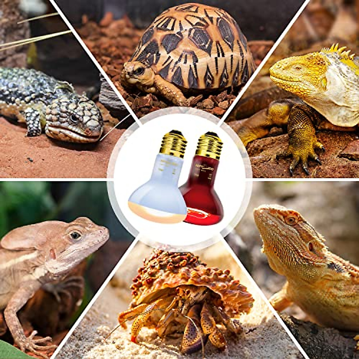 REPTIZOO 75W Reptile Heat Lamp Bulb 2PCS Day & Night Heat Lamp Combo Pack Include Nightlight Infrared Heat Emitter and UVA Daylight Heating Lamp