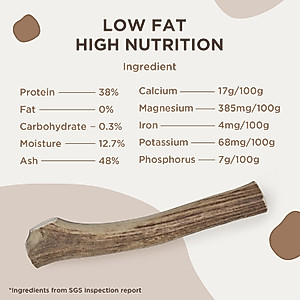 Premium Deer Antlers for Dogs – Natural Dental Chew for Aggressive Chewers – Long-Lasting Antler Chews, Odor-Free, Mess-Free, 1 Count (Jumbo)