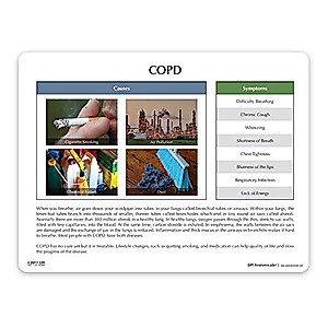 GPI Anatomicals - Anatomy Model of Human Respiratory System with Chronic Obstructive Pulmonary Disease (COPD), Bronchus and Alveoli Models for Anatomy and Physiology Education, Medical Study Supplies