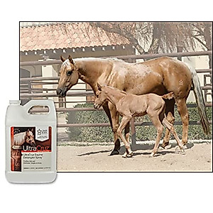 UltraCruz - sc-395300 Equine Detangler Spray for Horses, 1 Gallon
