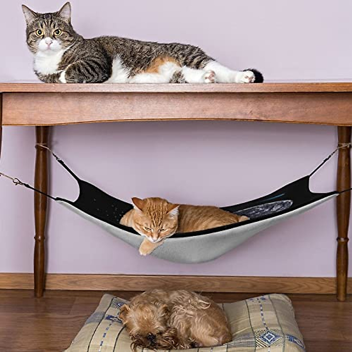Space Planet Pet Hammock Bed Guinea Pig Cage Hammock Small Animal Hanging Bed for Ferret, Chinchilla, Puppy and Other Small Animals