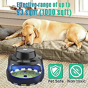 X-PEST Flea Traps for Inside Your Home, USB Rechargable Flying Insect Trap Indoor for Fleas Gnats Flies Moth Mites Bugs Fruit Flies Mosquitoes with 10 Refills