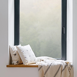 Gila Glass Scenes Frosted Glass Static Cling Window Film, 3ft x 6.5ft