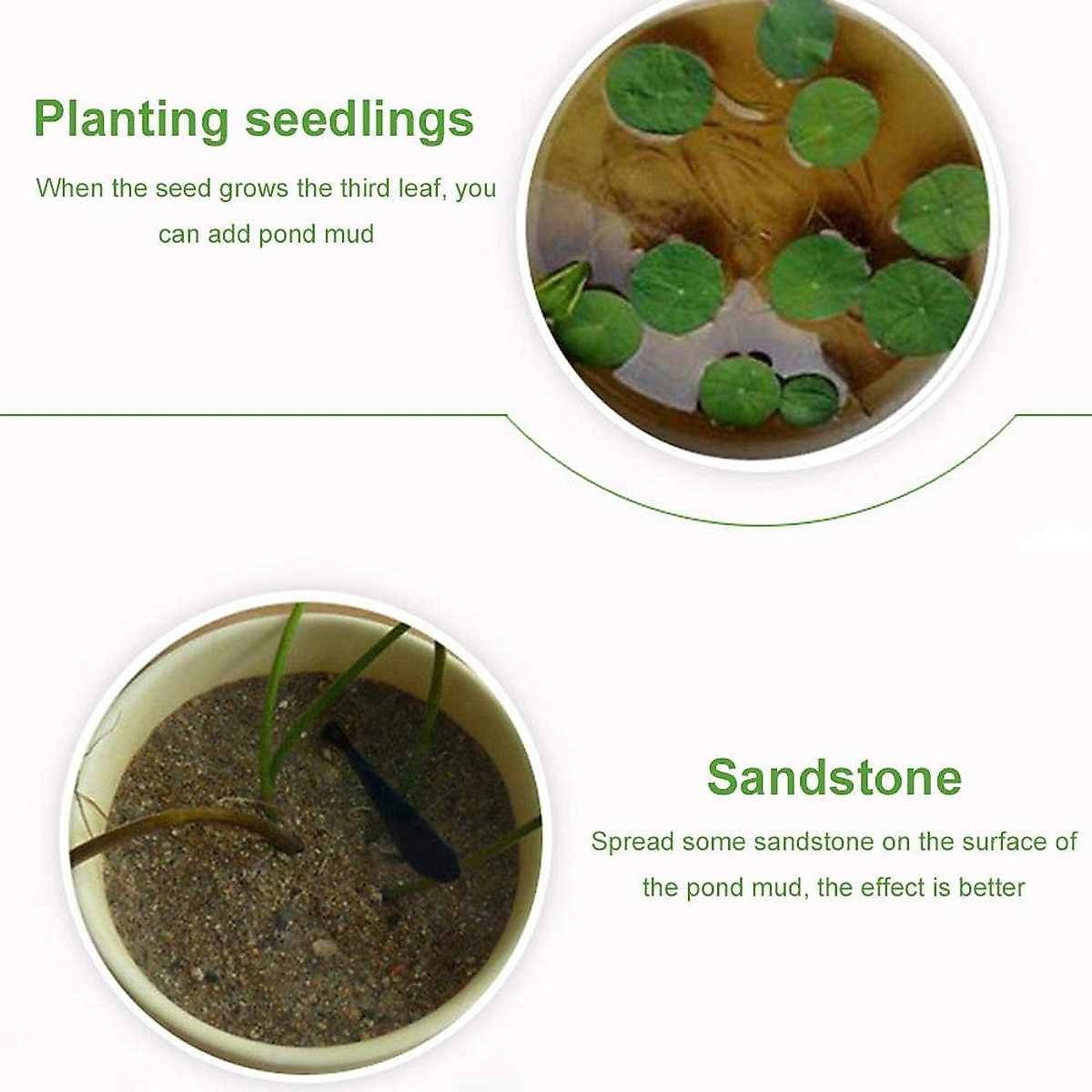 Natural Lotus Pond Mud 500g Water Lily Planting Silt Garden Fertile Bonsai Flower Nutrient Soil for Aquatic Plant Cultivation