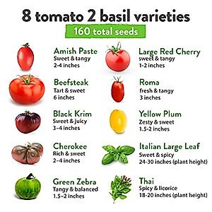 Heirloom Tomato Seeds for Planting (10pk) w/Basil Seeds | 100% Non-GMO Tomatoes: Cherry, Roma, Beefsteak, Zebra, Yellow Plum, Amish Paste, Cherokee, Krim, Italian Basil, Thai Basil Seed
