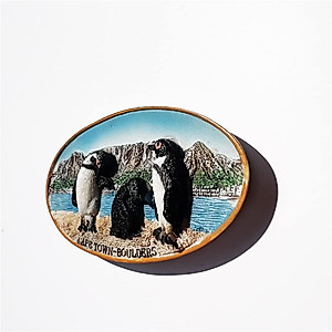 Boulders Cape Town South Africa Refrigerator Magnet Travel Souvenir Fridge Decoration 3D Magnetic Sticker Hand Painted Craft