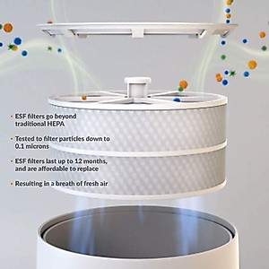 Avari 600 Electrostatic Air Purifier Bundle with Replacement Filter