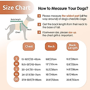 AOFITEE Dog Recovery Suit, Dog Surgical Recovery Suit for Female Dogs Male Dogs, Cozy Dog Onesie for Surgery, Cone E-Collar Alternative, Anti Licking Dog Surgical Shirt with Pee Hole, Strawberry S