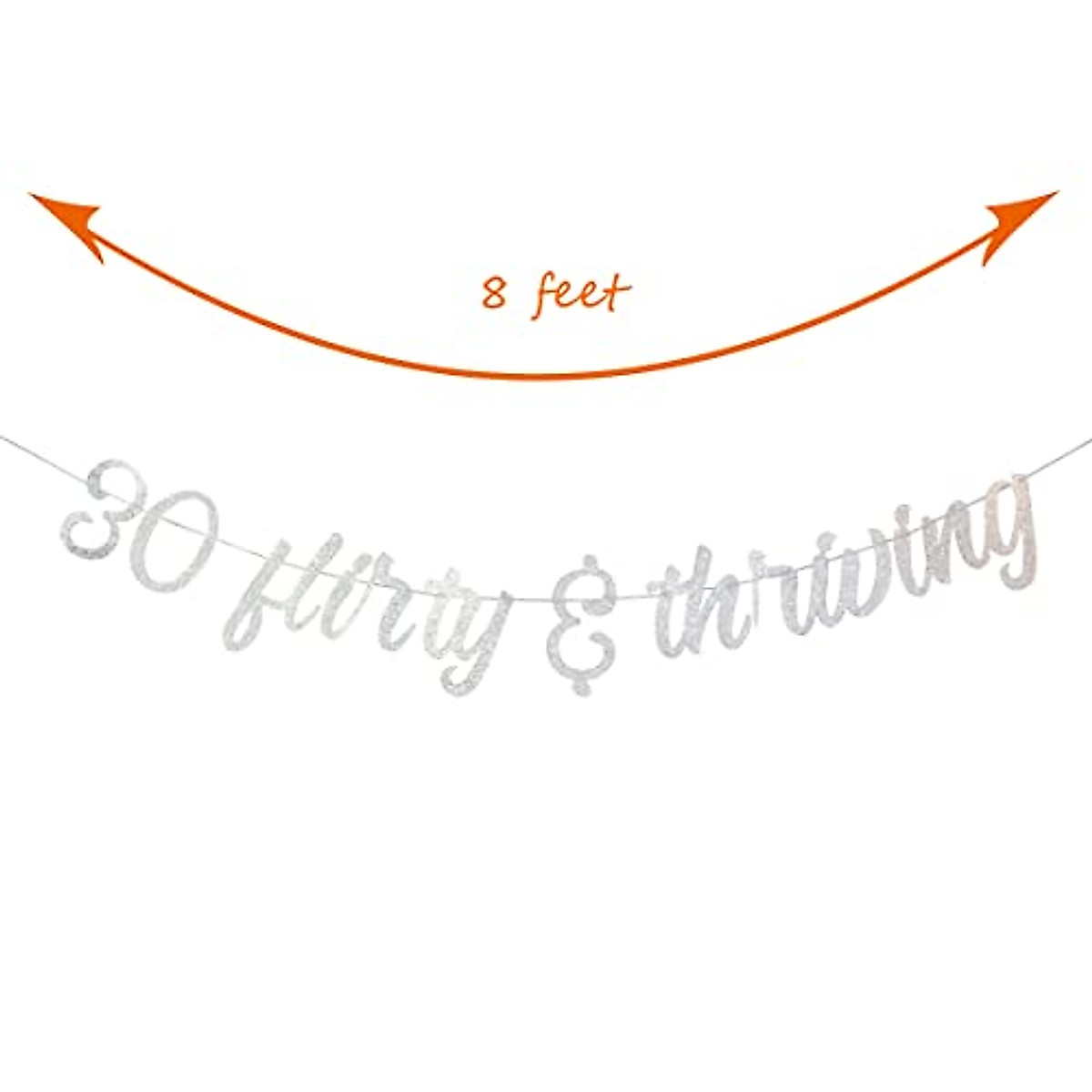 StarsGarden 30 Flirty & Thriving Banner – Talk Thirty to Me Banner It's My Funny Fabulous 30 Banner -Dirty 30th Birthday Banner Decorations - Finally 30 Milestone Happy Birthday Decorations(Silver 30)