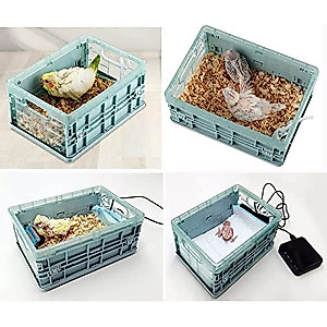 WIONBE Manual Incubator Birds Parrot Small Animals Thermostat Breeding Box Bird Eggs Hatching Brooder Heater