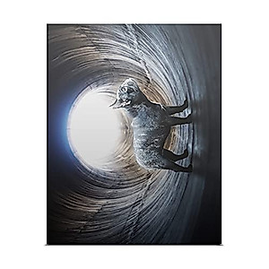 Head Case Designs Officially Licensed Klaudia Senator Lost French Bulldog Matte Vinyl Sticker Gaming Skin Case Cover Compatible With Xbox One X Console