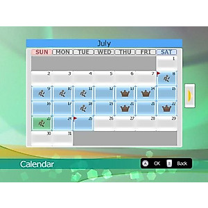 Gold's Gym Dance Workout - Nintendo Wii