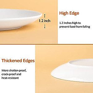 DELLING 10 inch White Dinner Plates Set, Porcelain Dessert/Salad Plate, Serving Dishes, Dinnerware Sets, Scratch Resistant, Lead-Free, Microwave, Oven, and Dishwasher Safe - Set of 4