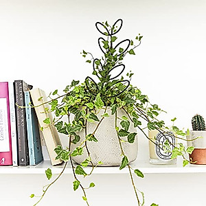 Tuitessine Leaf Shape Plant Trellis for Climbing Houseplant Trellis Indoor Garden Trellis Metal Wire Stake for Potted Plant Houseplant Lover Gift Set of 4