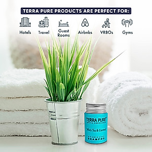Terra Pure White Tea & Coconut Shampoo, Travel Size Hotel Amenities, 1 oz. (Case of 100)