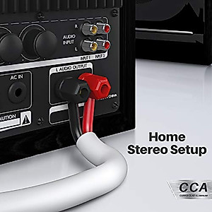 GearIT 14/2 Speaker Wire (100 Feet) 14 Gauge (Copper Clad Aluminum) - Fire Safety in Wall Rated Audio Speaker Wire Cable / CL2 Rated / 2 Conductors - CCA, 100ft