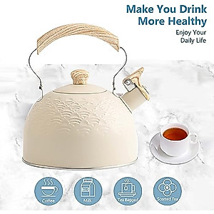 2.5L Stainless Steel Tea Kettle Teapot with Foldable Anti-Heat Handle,for Gas Hobs, Induction and Electric Hobs▂19 * 23cm/7.48"*9.06"