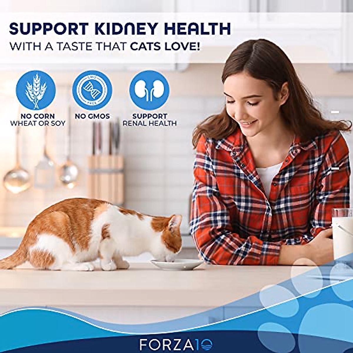 Forza10 Wet Renal Care Cat Food with Lamb, 3.5 Ounce Can Kidney Support and Renal Health, 12 Pack