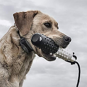SportDOG Brand FieldTrainer 425X/SportHunter 825 Add-A-Dog Collar-Additional, Replacement or Extra Collar for Your Remote Trainer-Waterproof and Rechargeable with Tone, Vibration and Static