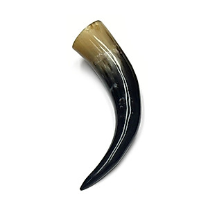 10-14" Polished Water Buffalo Horn