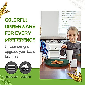 Teivio 24-Piece Kitchen Plastic Wheat Straw Dinnerware Set, Service for 6, Dinner Plates, Dessert Plate, Cereal Bowls, Cups, Unbreakable Plastic Outdoor Camping Dishes, Coastal Multicolor