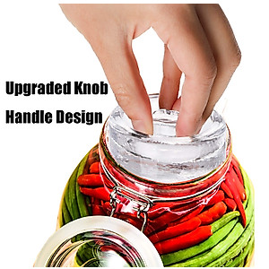 Yesland 9 Pack Fermentation Glass Weights with Easy Grip Handle, Fermentation Weights for Wide Mouth Mason Jar, Sauerkraut, Vegetables, Pickles, Kimchi and Other Fermented Food