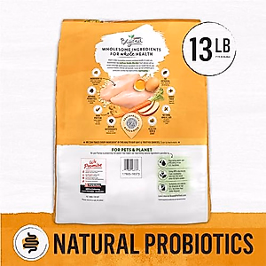 Purina Beyond Natural Dry Cat Food Wholesome Ingredients for Whole Health White Meat Chicken and Whole Oat Meal Recipe - 13 lb. Bag