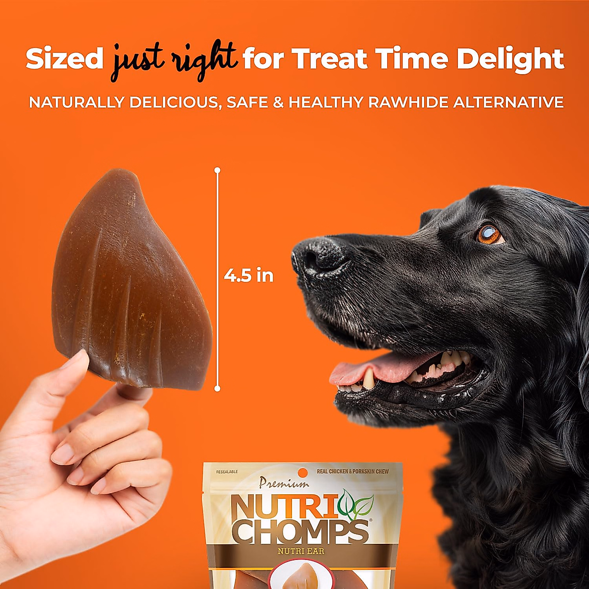 NutriChomps Dog Chews, Ear-Shaped, Easy to Digest, Rawhide-Free Dog Treats, 10 Count, Real Chicken flavor