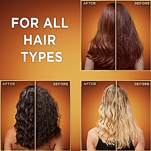 Garnier Whole Blends Honey Treasures Repairing Conditioner, for Dry, Damaged Hair, 3 Fl Oz (Travel Size), 1 Count (Packaging May Vary)