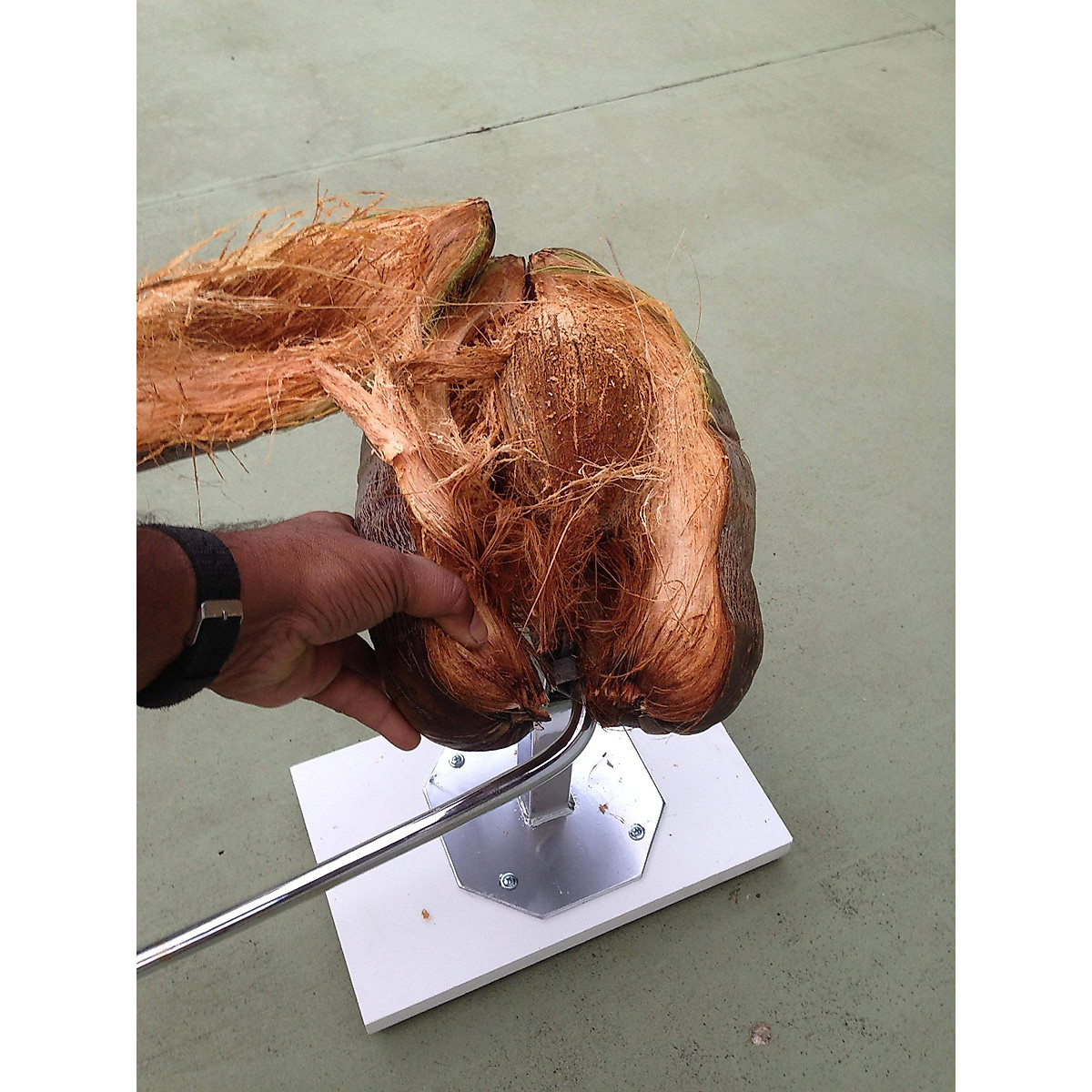 Gitachi EASY Coconut Husk opener 17 inch Tall- Stainless